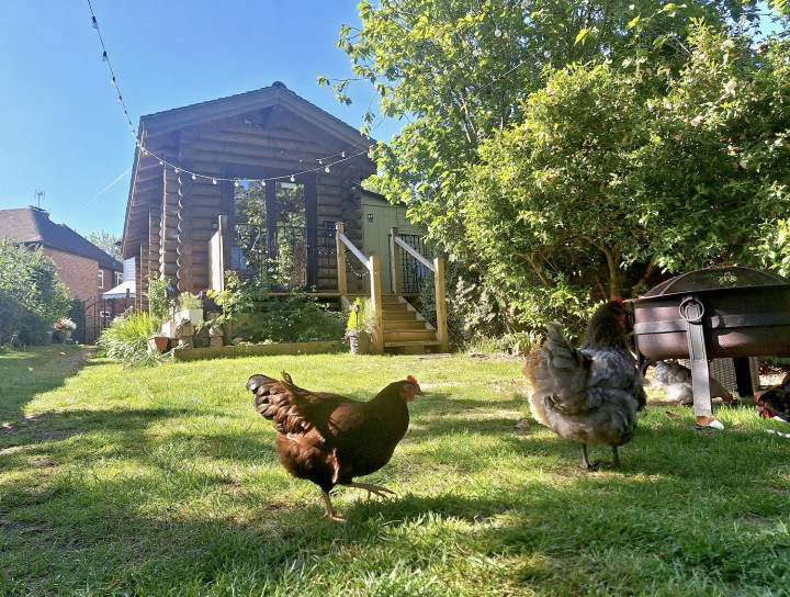 Cabin In Hosts Huge Garden Child Friendly With Hens Kittens Firepit Marshmallows - Kent