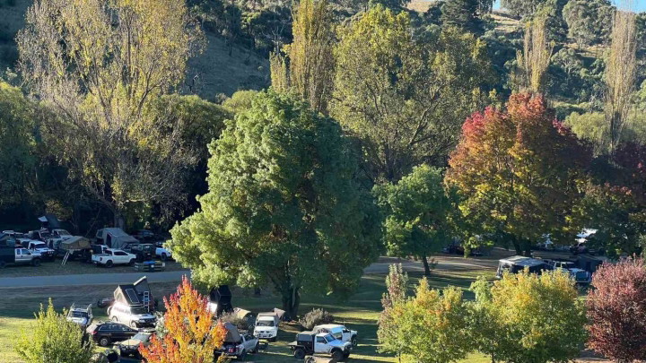 Omeo Holiday Park - Omeo