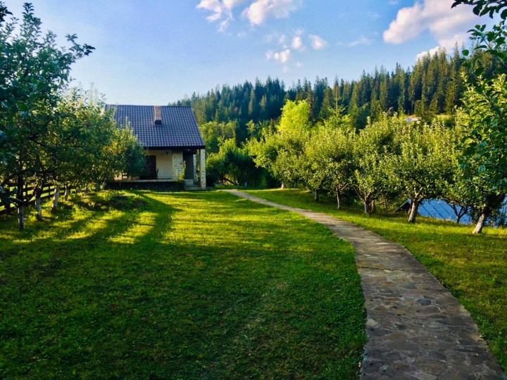 Forest Chalet Sucevita - Rome