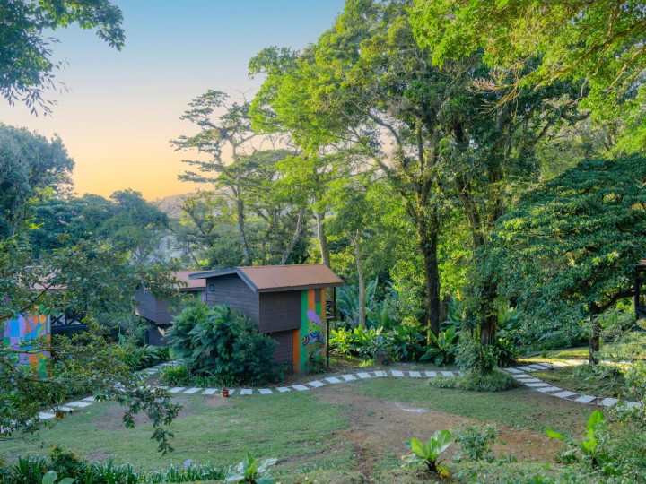 Nido De Montaña - Costa Rica