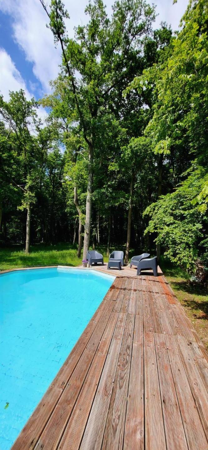 Nalan Godvicien, Spa, Piscine Chauffée, Forêt, 14 Pers - Val-d'Oise
