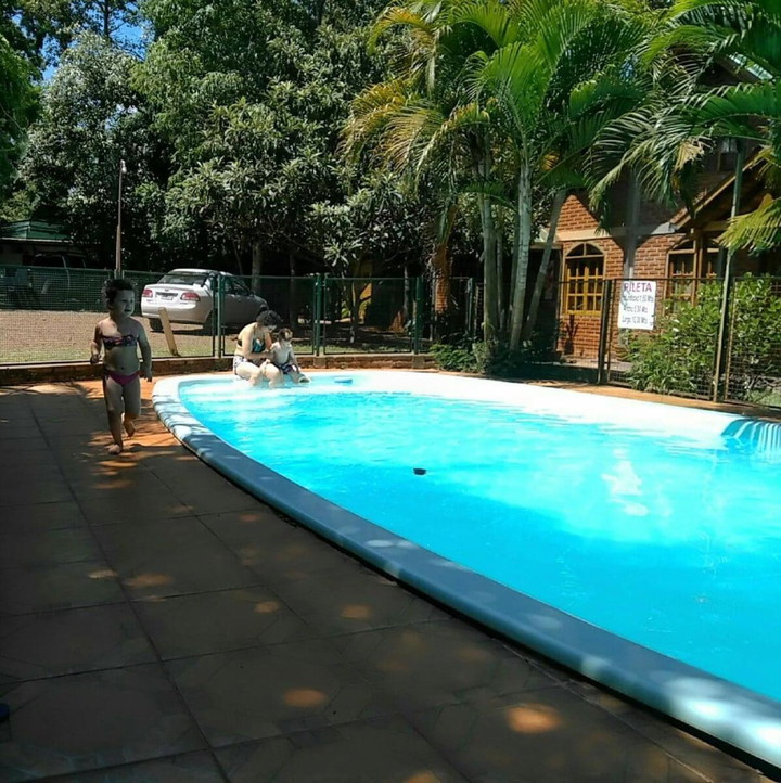 Cedros - Puerto Iguazú
