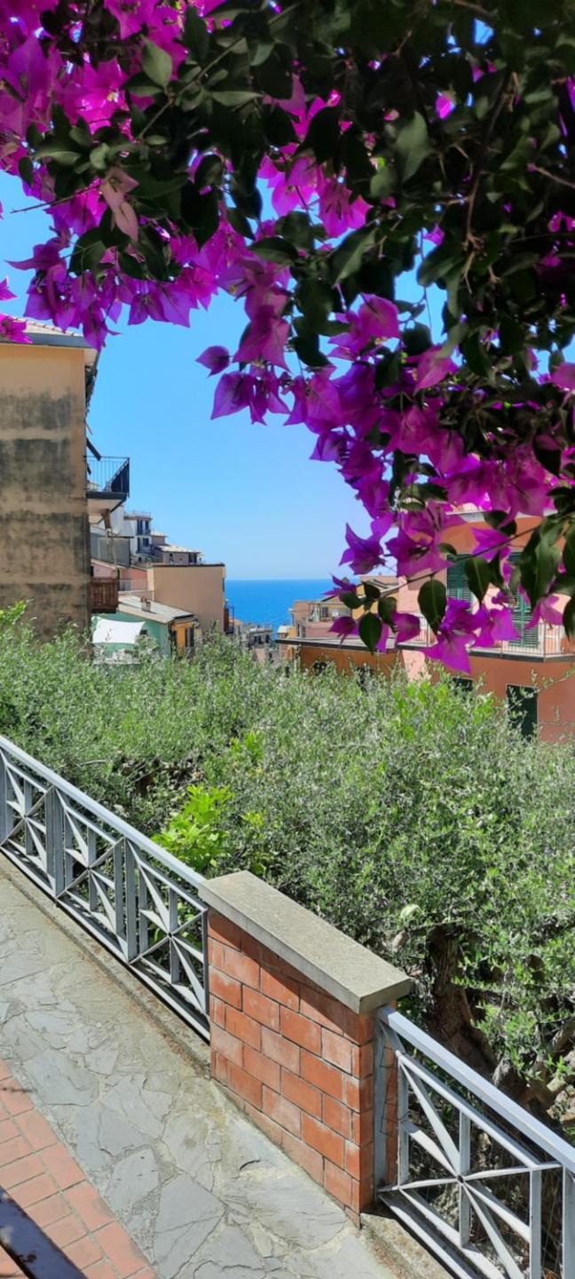 Appartamento Ambrosia - Vernazza