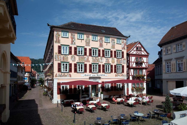Hotel Karpfen - Neckarsteinach