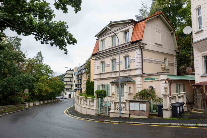 Rezidence Palmbaum - Luxury And Relax - Karlsbad