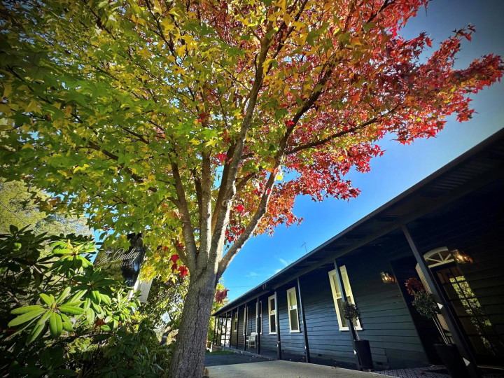 The Dudley Boutique Hotel - Daylesford
