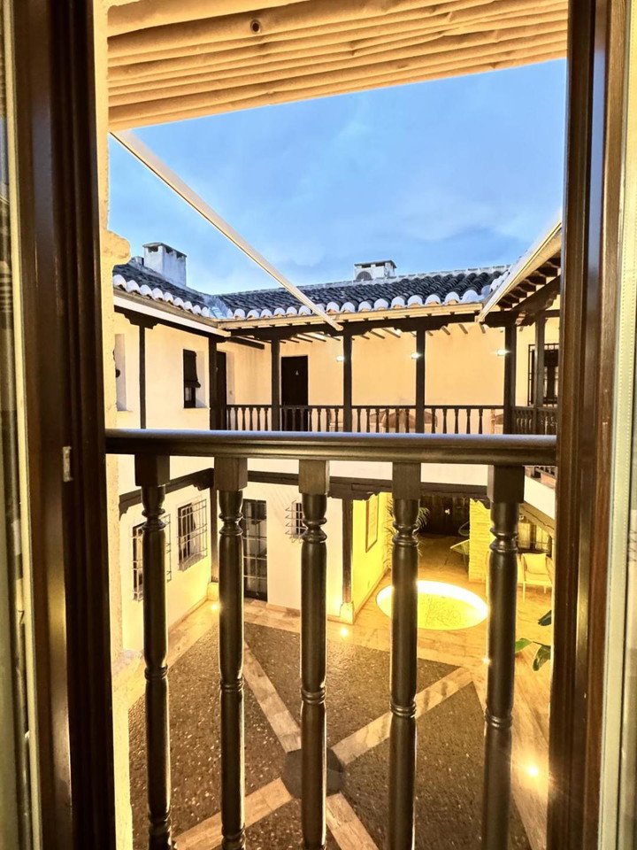 Manzano Palace. Apartamentos Con Terraza - Almagro