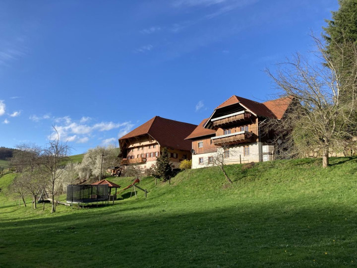 Ferienwohnung Schwörerhof - Schuttertal