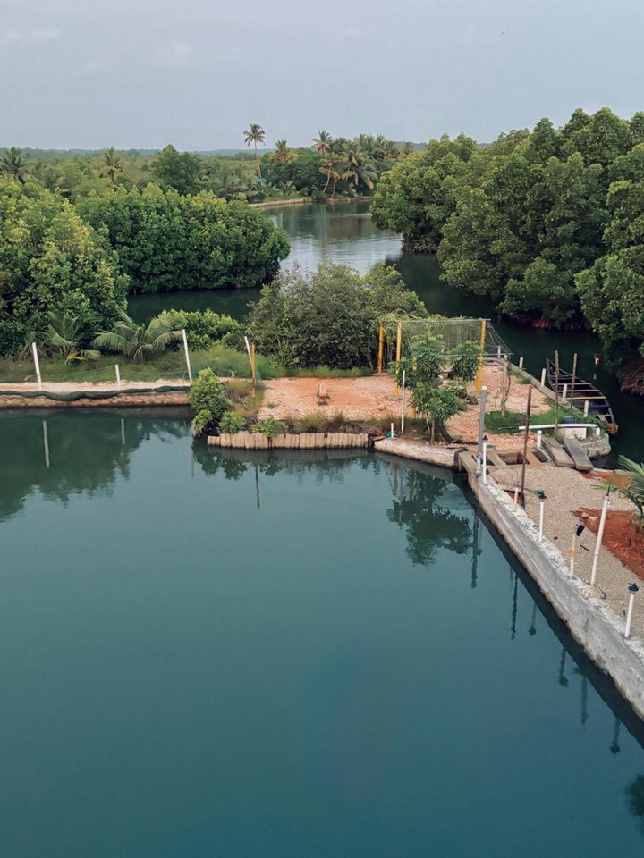 Munroe Mangrove Forest Lake Holidays Resorts - Kerala