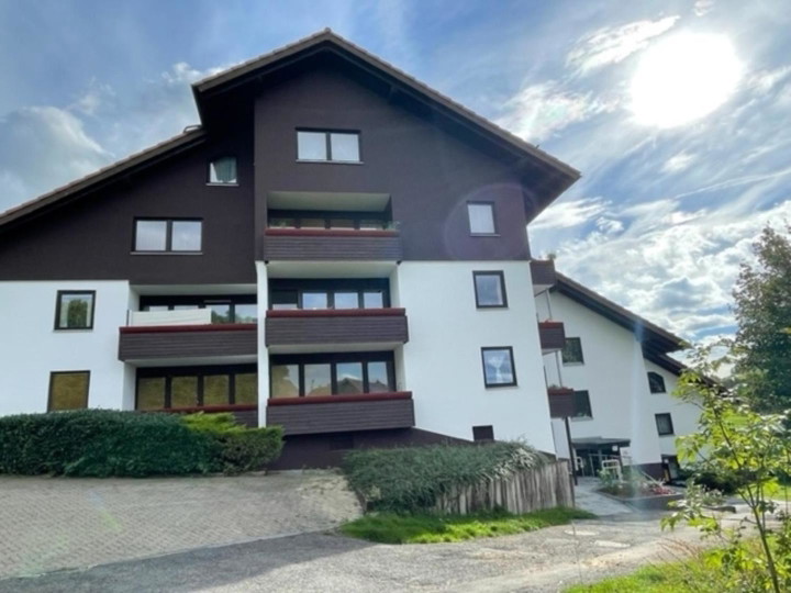 Ferienwohnung Paradiso Mit Schwimmbad Pool - Bad Sachsa