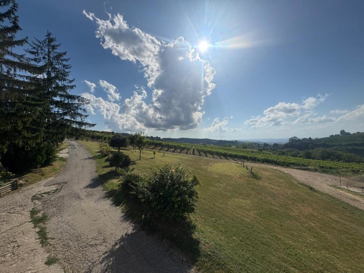 Langhe Da Cartolina - Alba, CN
