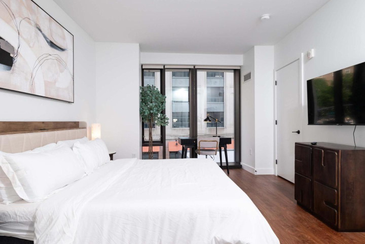 Back-bay Upscale Central Condo Rooftop & Parking - Boston, MA