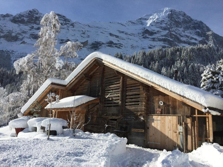 Eigerhome - The Cottage Mit Wellness - Griwa Rent Ag - Iseltwald