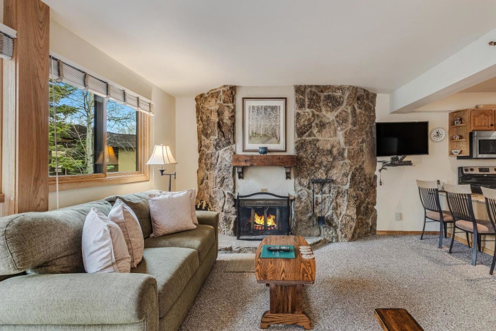Laurelwood Condominiums 205 - Snowmass Village, CO