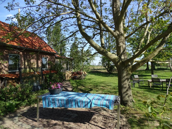 Roer, Huisje Aan De Maas - Zaltbommel