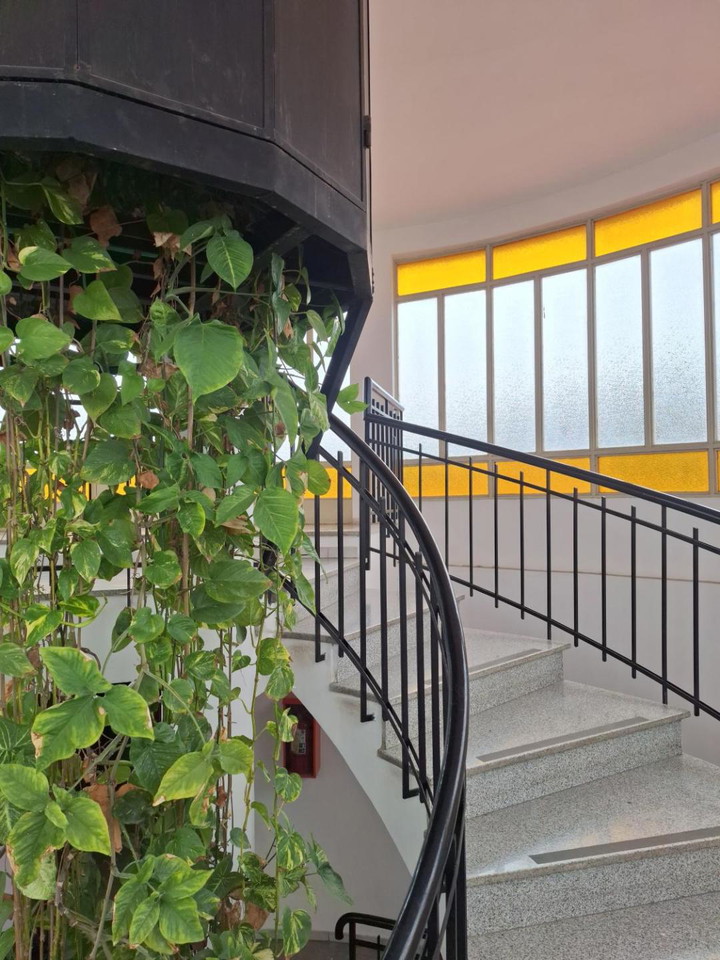 Apartment Chunin Depart - Argentine