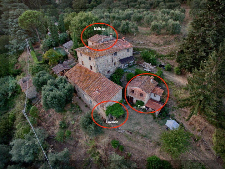Orto Dei Bruchi - Lucca