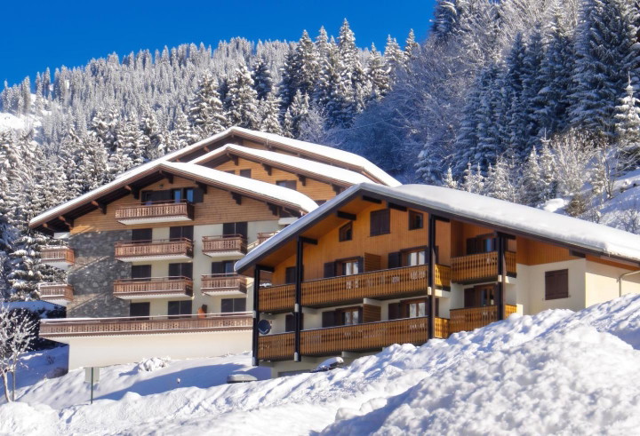 Appartement Charmant Châtel 70 M² + Terrasse - Val-d'Illiez