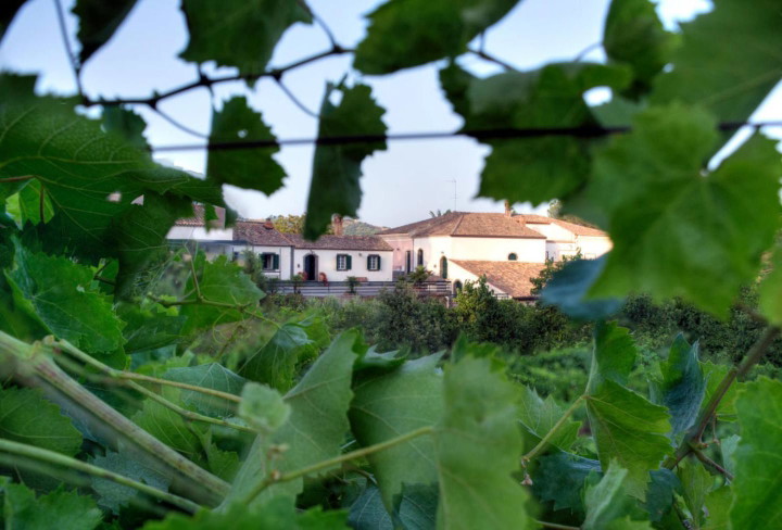 Casa Vacanze Etna - Sicilië