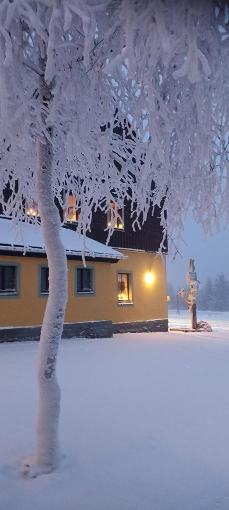 Berggasthof Neues Haus - Oberwiesenthal