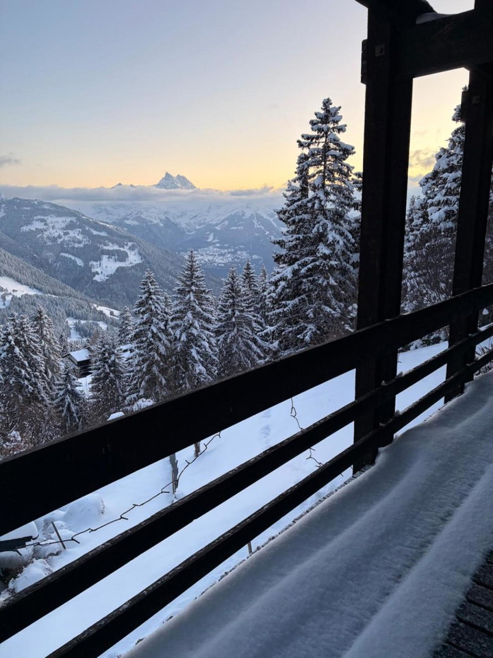 Beautiful Chalet With Exceptional Views, Ski-to-door, Very Quiet - Les Diablerets