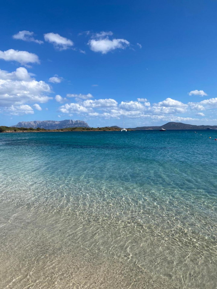 Dreamhouse B&b Olbia - Olbia