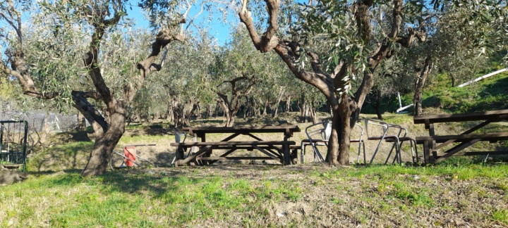 Agriturismo Cele - Celle Ligure