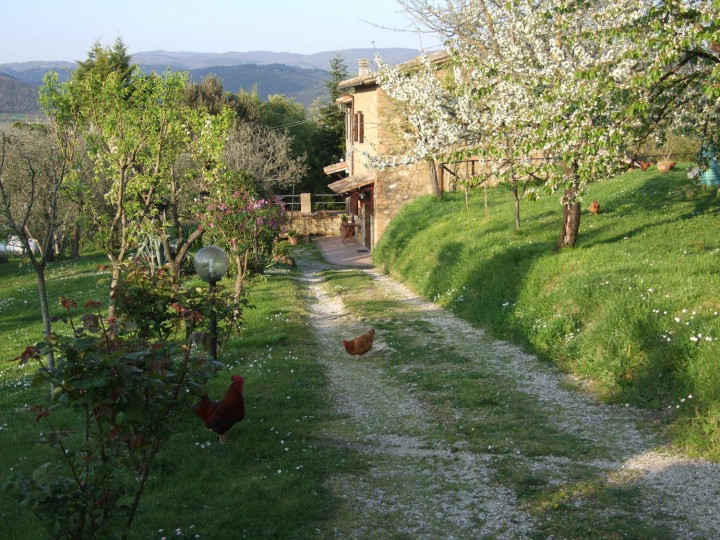 Podere La Vigna Locazione Turistica - Orvieto