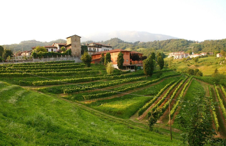 Agriturismo Il Belvedere - Bergamo