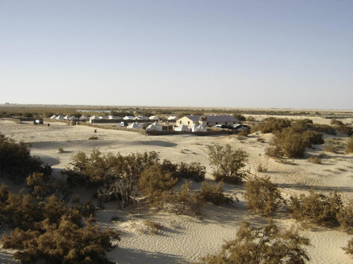 Campement Sahara Oasis Douz - Douz