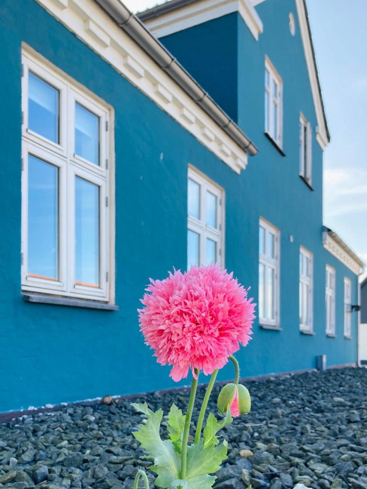 Det Blågrønne Hus - Dänemark