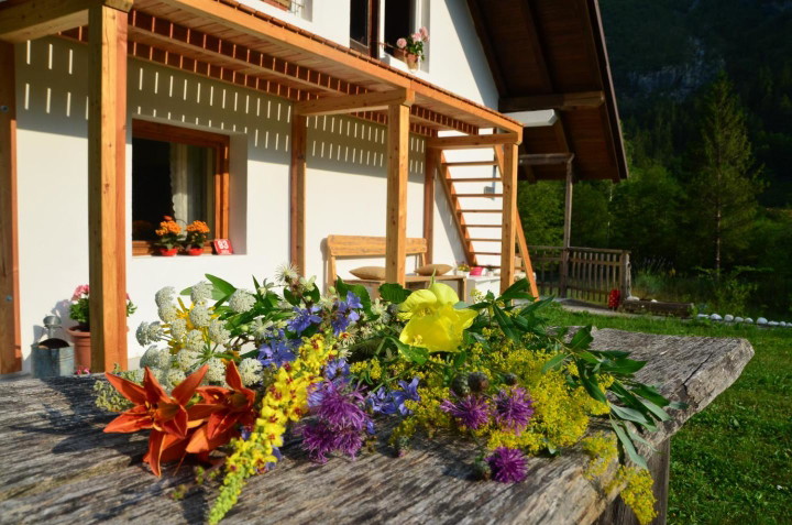 Bovec Home At Three Samoyeds - Soča
