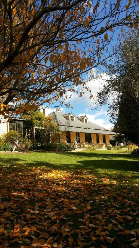 Eling Forest Winery - Southern Highlands