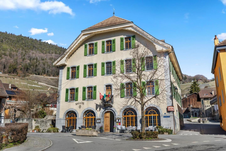 Hôtel De Ville D'ollon - Leysin