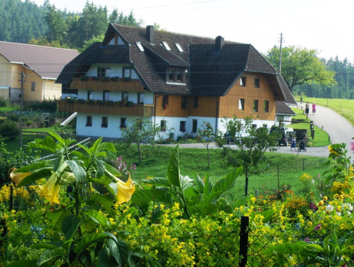 Ferienbauernhof-holops - Black Forest