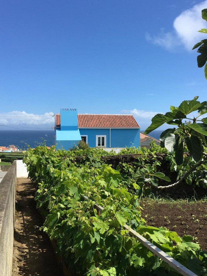 Casa Do Vizinho - Portugal