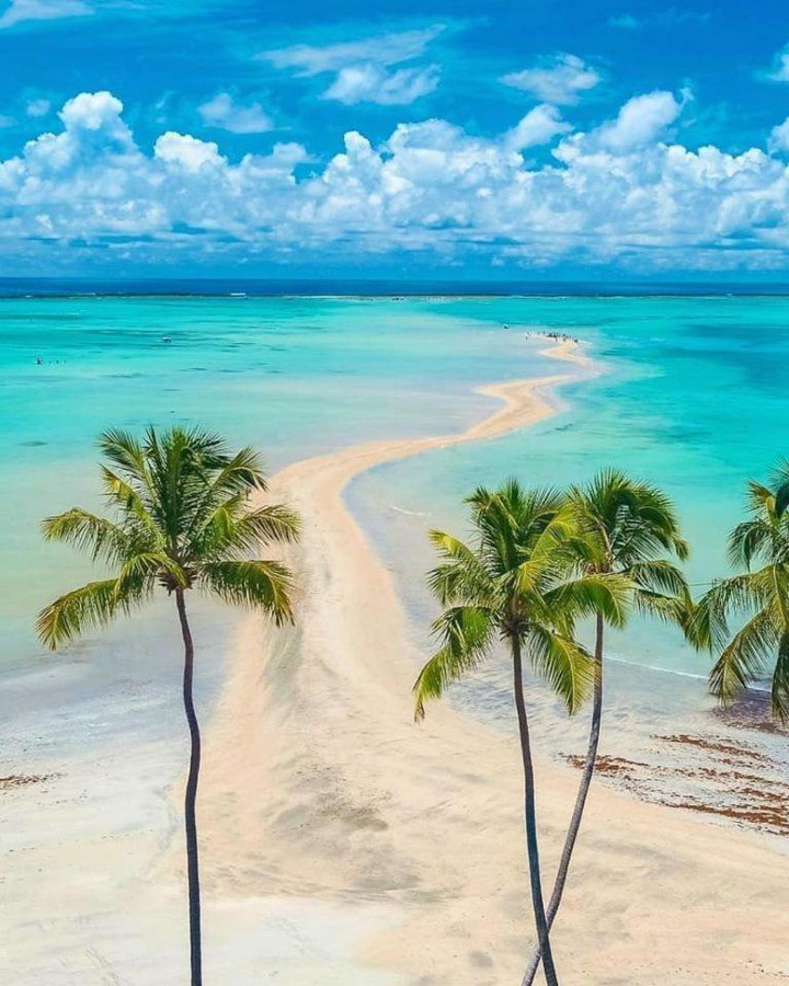 Casa De Praia Em Barra Grande - Maragogi