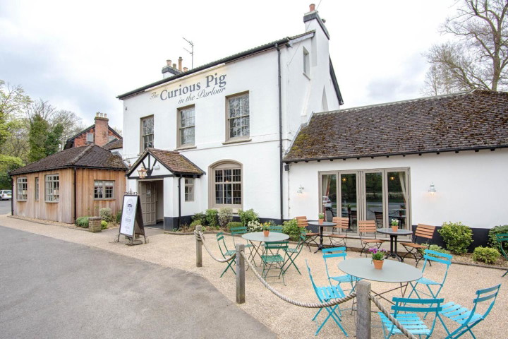 The Curious Pig In The Parlour - Redhill