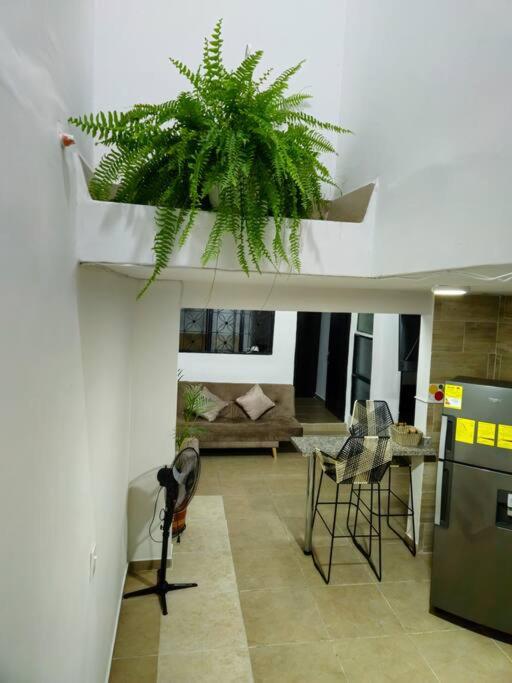 Denier House Guabinal 203 - Ibagué