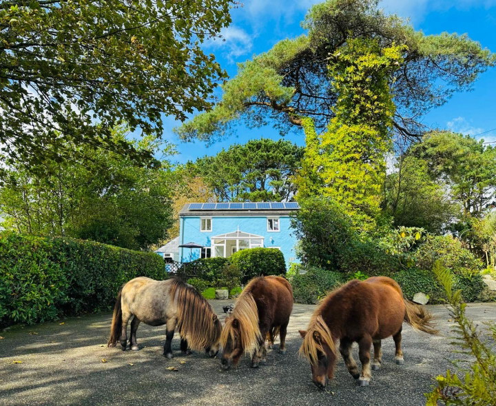 Bay View Cottage - St Austell