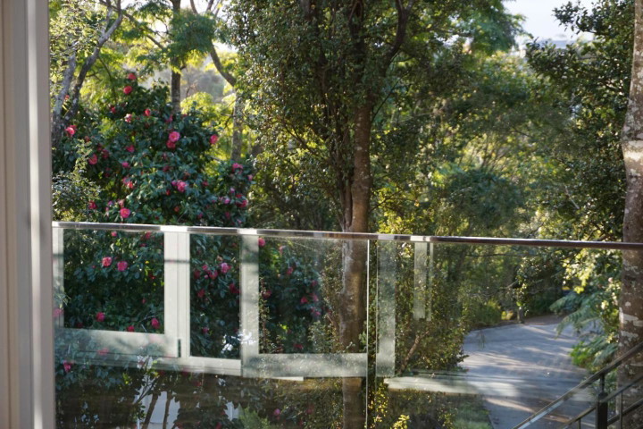 Torbay Tree Tops - Auckland