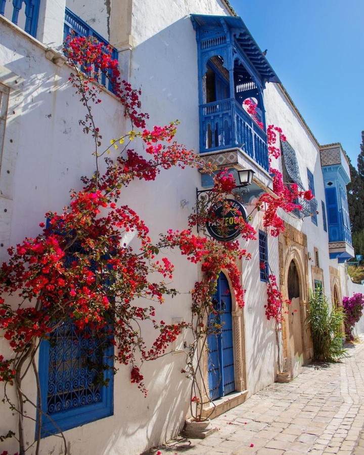 Maison Lella Kmar Sidi Bou Said - Tunisia