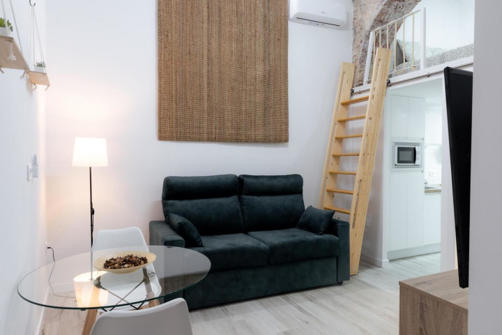 Falla Suite Bajo - Cadix