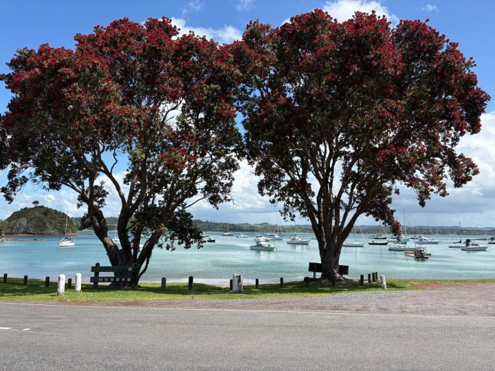 Tuis Nest, Family Beach Bach At Opito Bay - Kerikeri