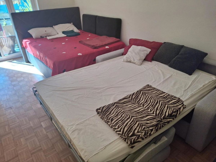 Apartment In Basel Eurovision! - Basel