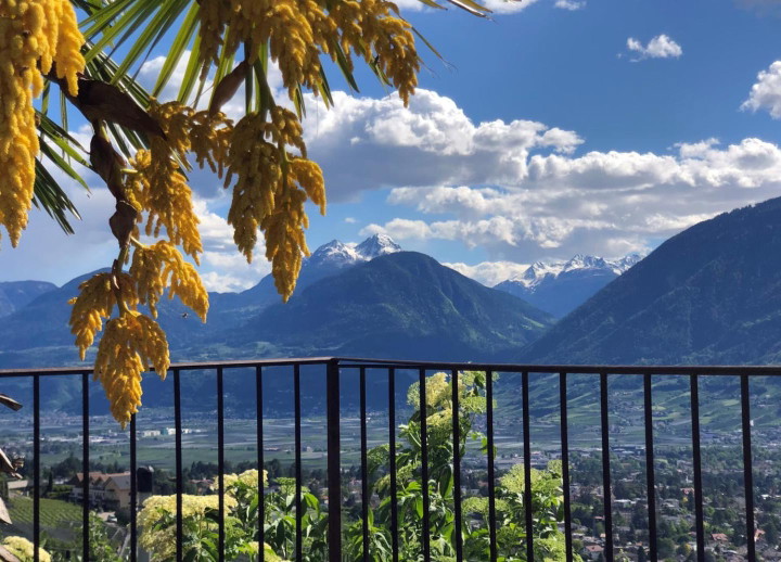 Der Blaue Reiter - Dorf Tirol