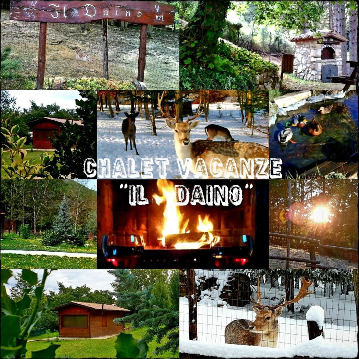 Chalet Vacanze Il Daino - Lazio