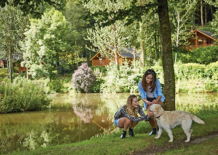 Bulworthy Forest Lodges - Devon