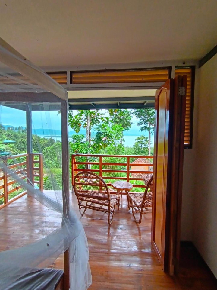 The View - Jungle Lodges - Port Barton - San Vicente, Philippines