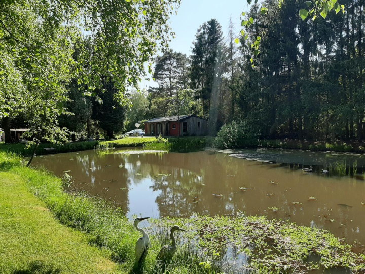 De Vijver - Geel